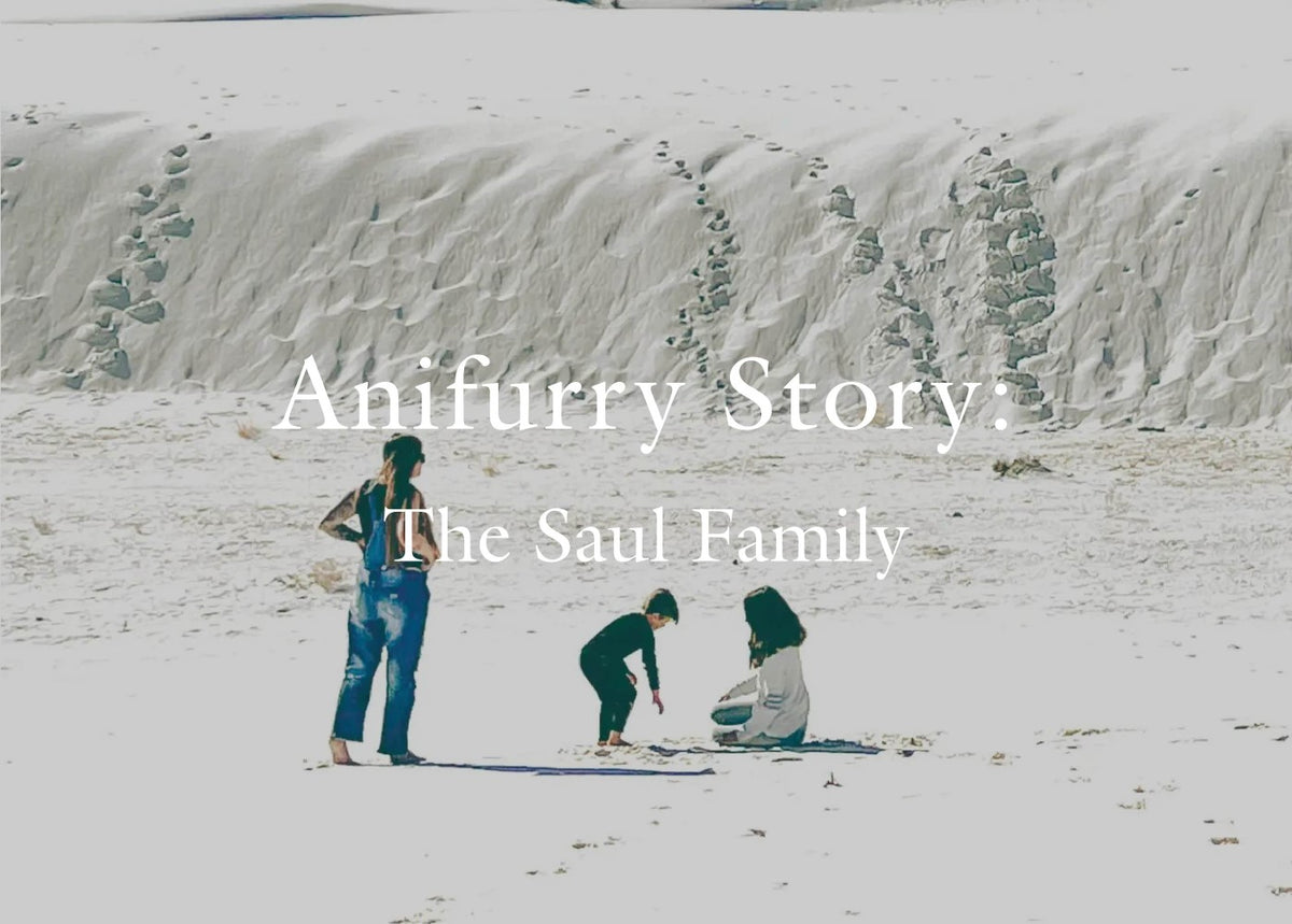 Anifurry Story: the Saul Family